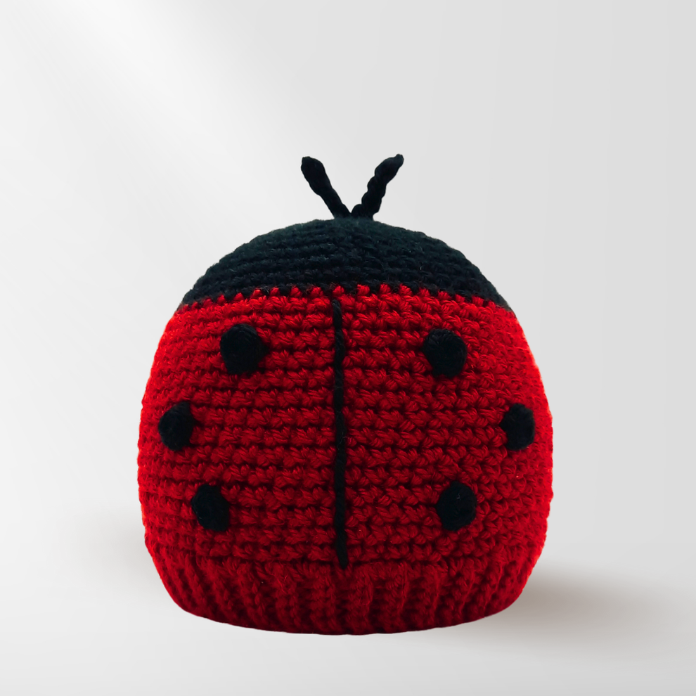 Easy Crochet Ladybug Hat Pattern - Sizes from Newborn to Tween - Insta ...